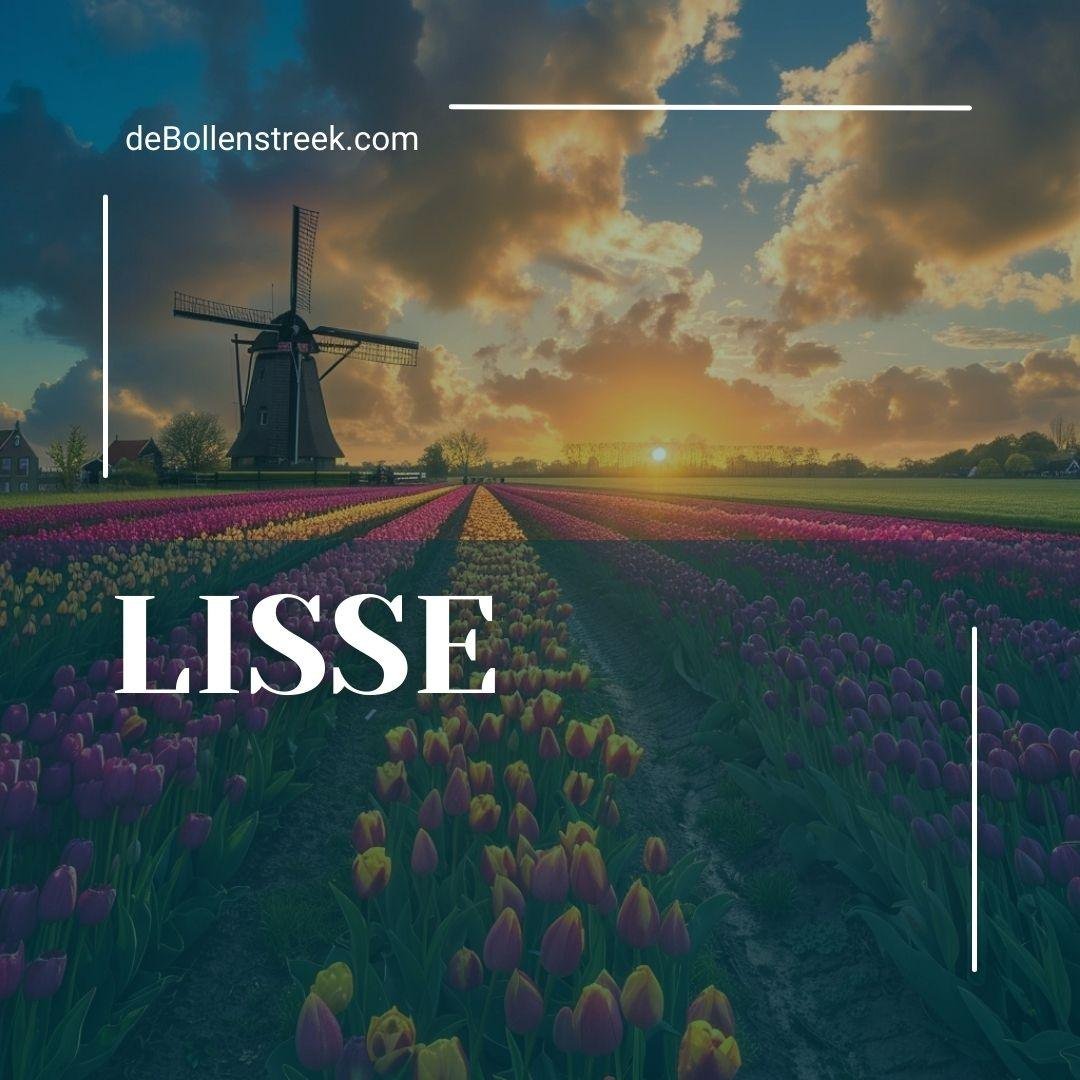Lisse: The Heart of Holland’s Tulip Fields - de Bollenstreek